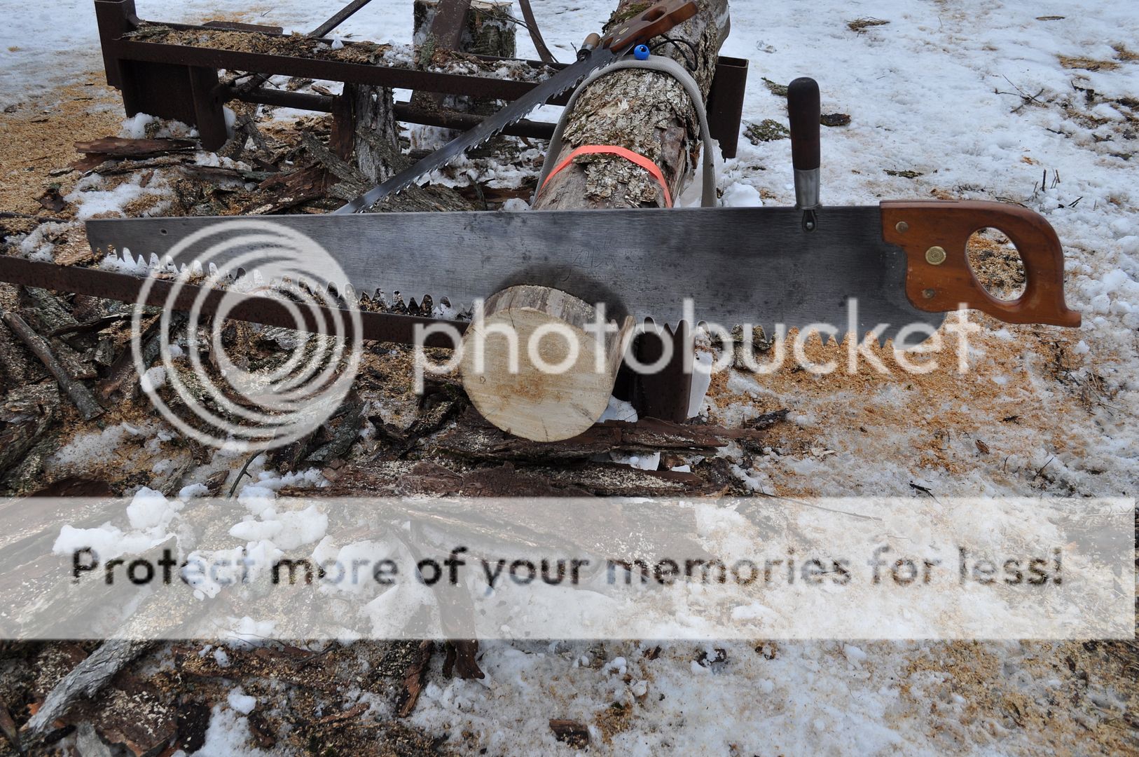 OT Two Disston One Man Saws, Tuned & Sharpened by Treeline ...