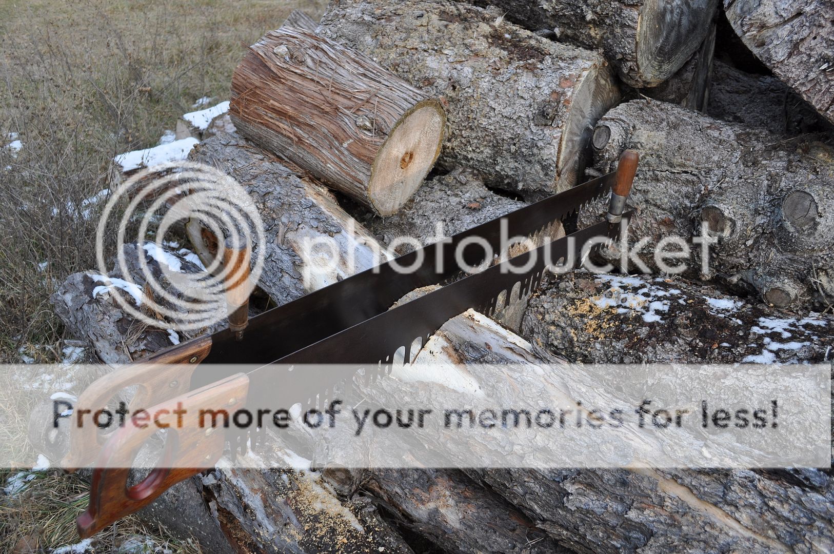 One Man Crosscut Saw