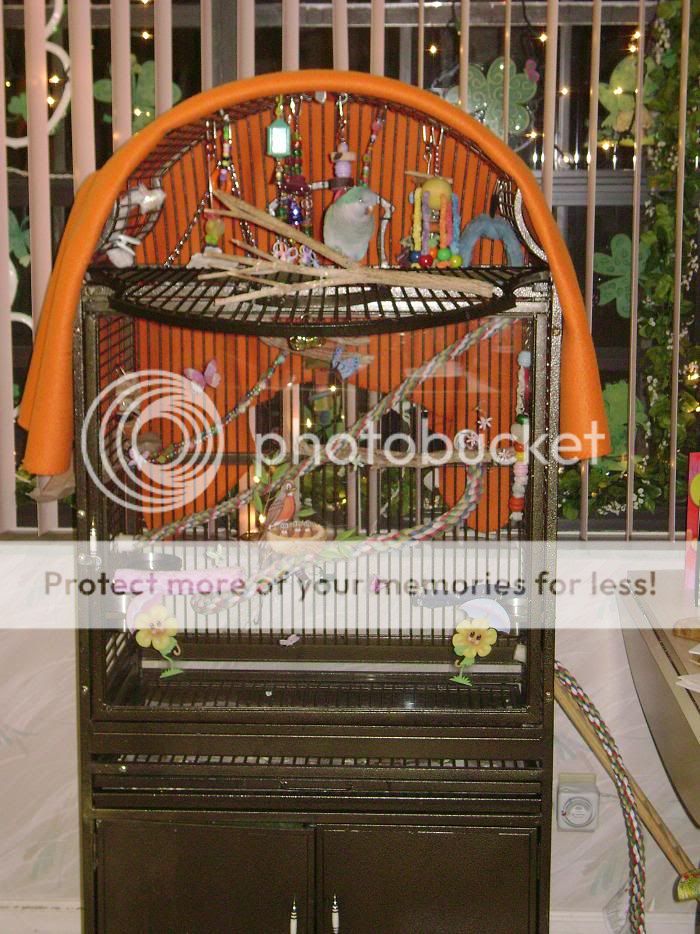 Contain the mess cages? Acrylic cage? | Avian Avenue Parrot Forum